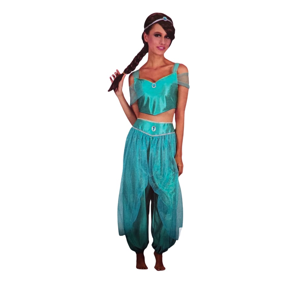 Arabian Princess - Adult Costume – Hollywood Costumes Online Shop